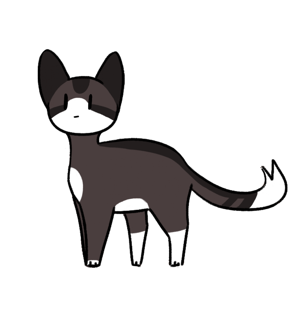 Brook Chibi – Arya Karki