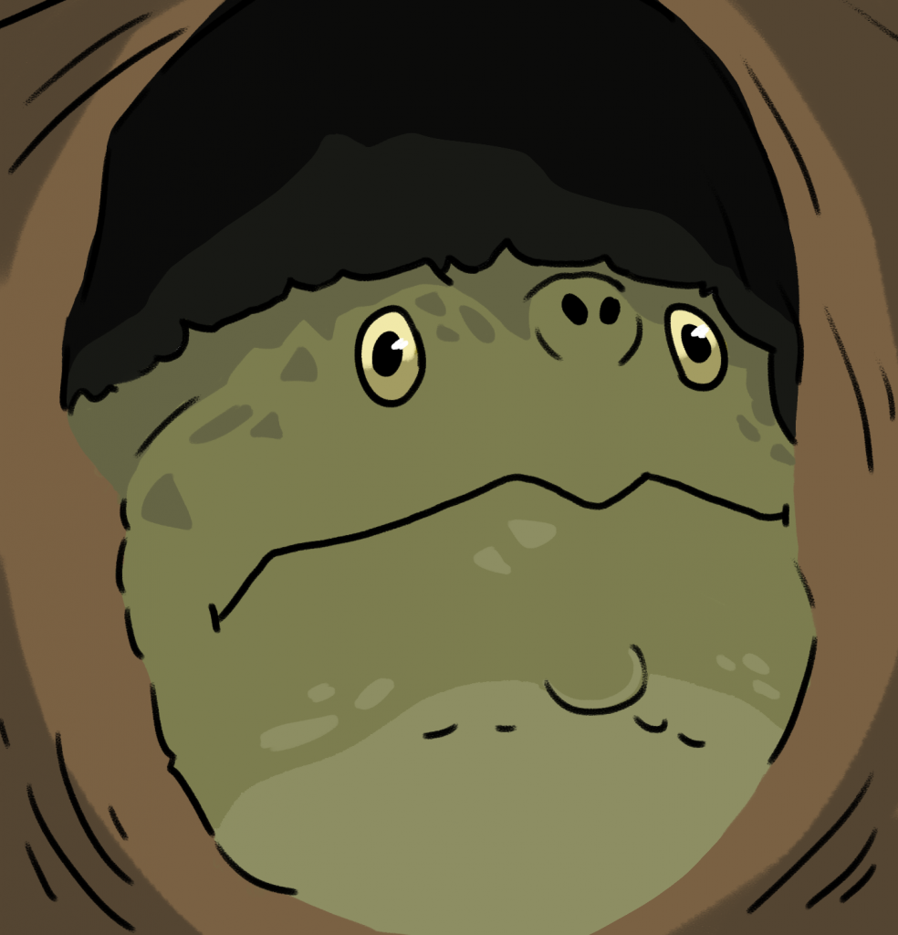 Turtle? – Arya Karki